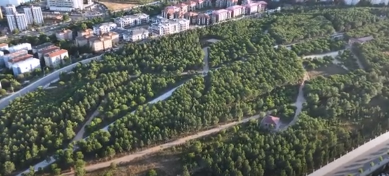 Pendik Korusu Açılıyor - Pendik'te Yaşam